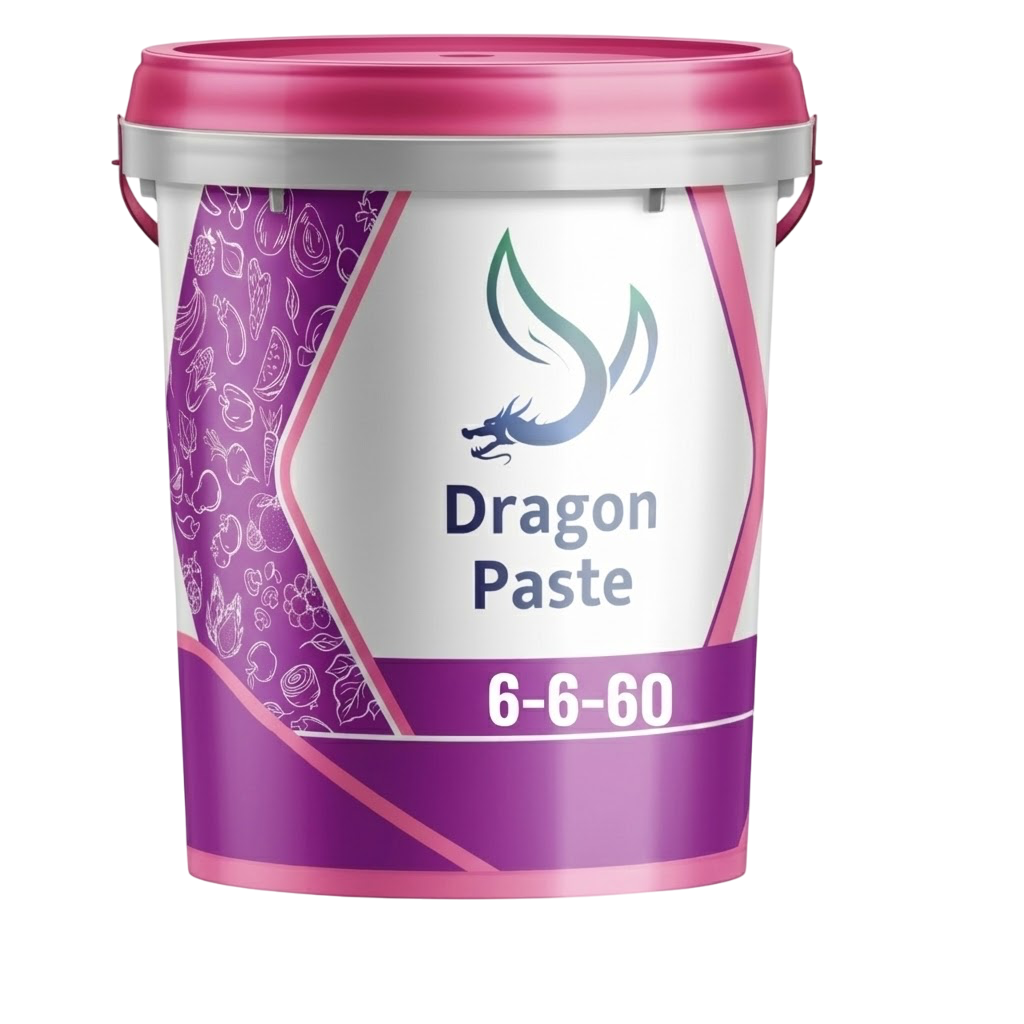 DRAGON PASTE 6-6-60